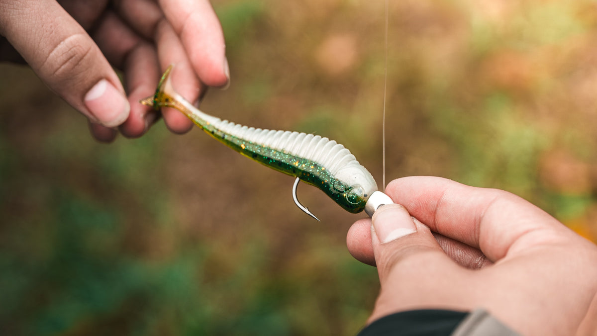 FISHLAB'S BASS SPAWN GUIDE – FishLab