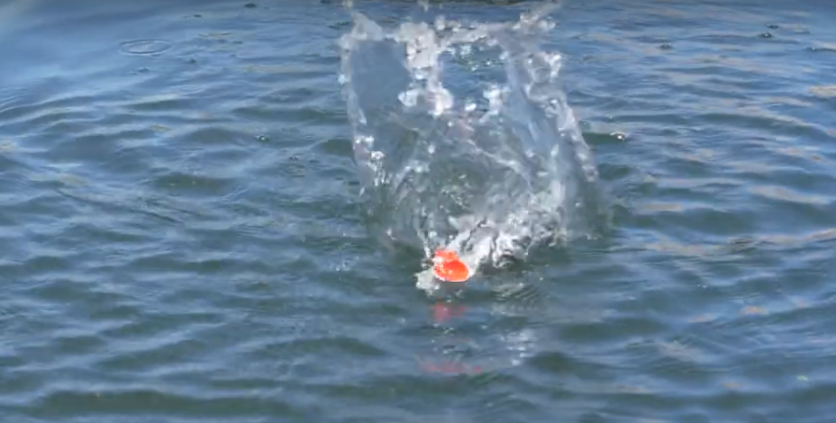 FishLab How To | Fishing the Popping Rattle Toad