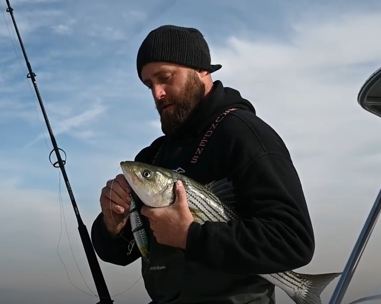 North East Striper Fishing – FishLab